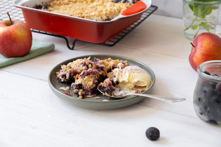 Apple Blueberry Crisp Recipe | One Hungry Bunny